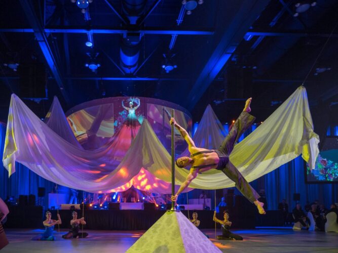 The Future of Circus